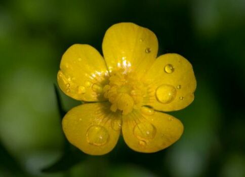Blessings of Rain from Heaven | Blog | Bon Secours Retreat & Conference ...