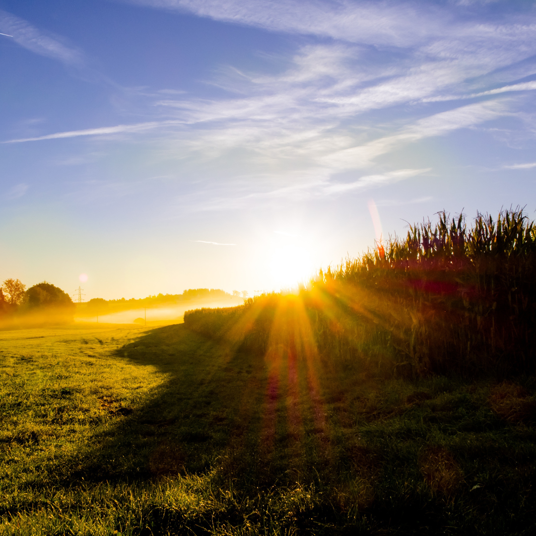 Connection Between Mathematics and Spirituality | Blog | Bon Secours ...